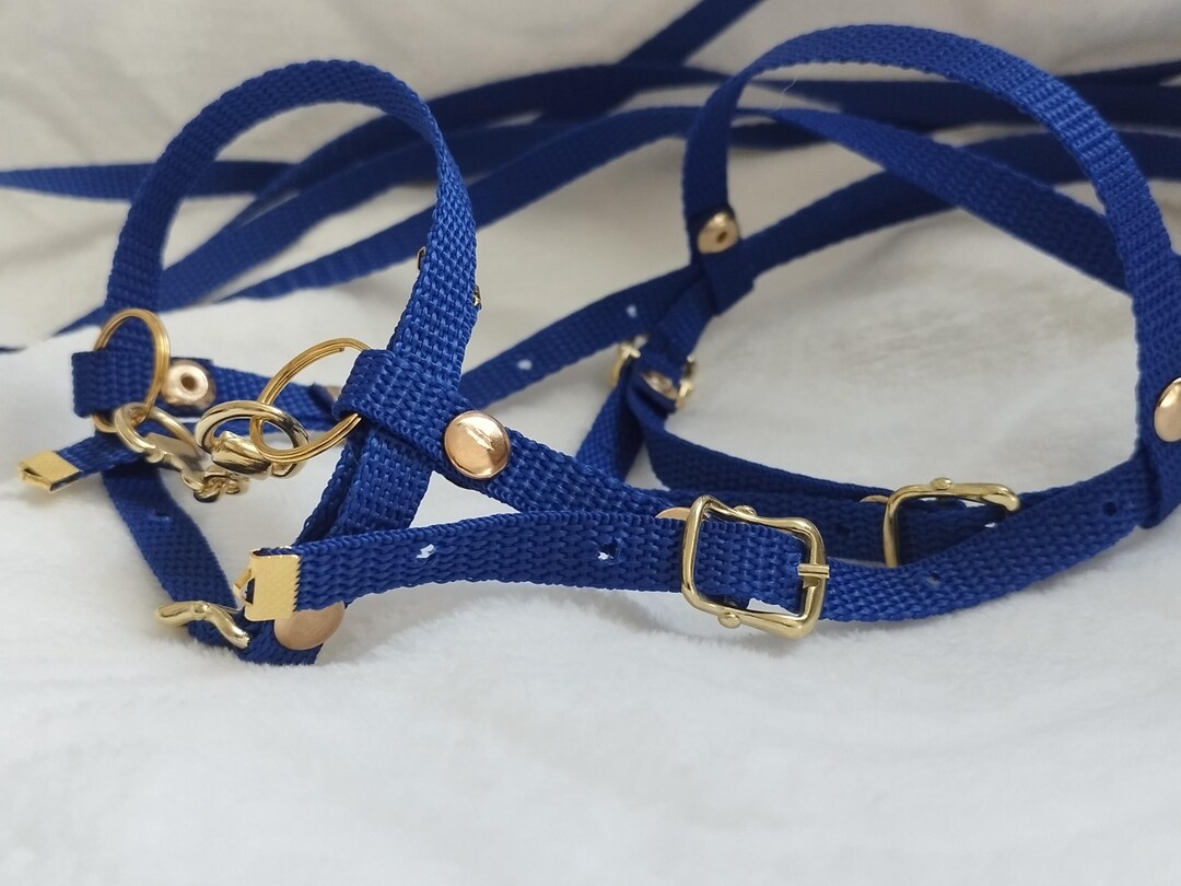 Adjustable Blue Bridle With Gold Hardware for Hobby Horse - Perfect for ...