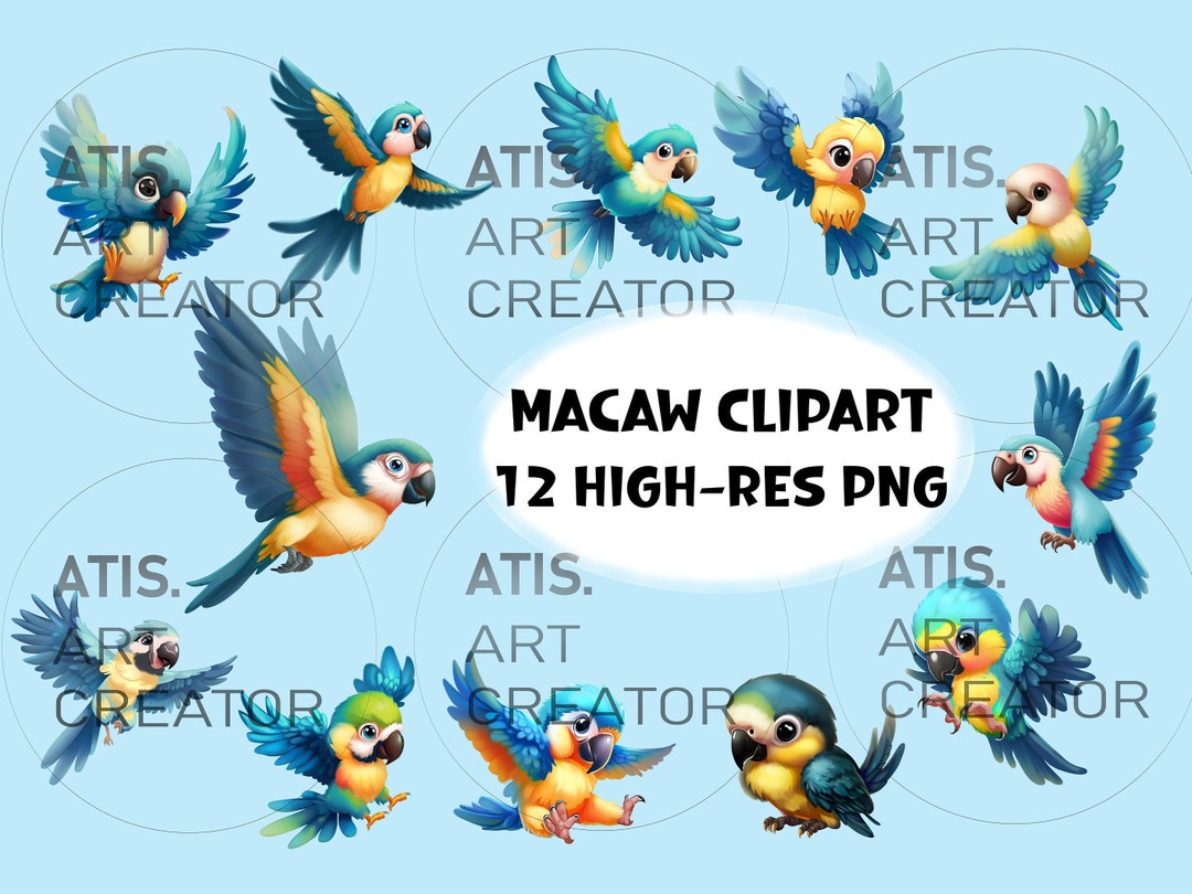 Macaw Clipart PNG Watercolor Macaw Clipart Cute Macaw - Etsy