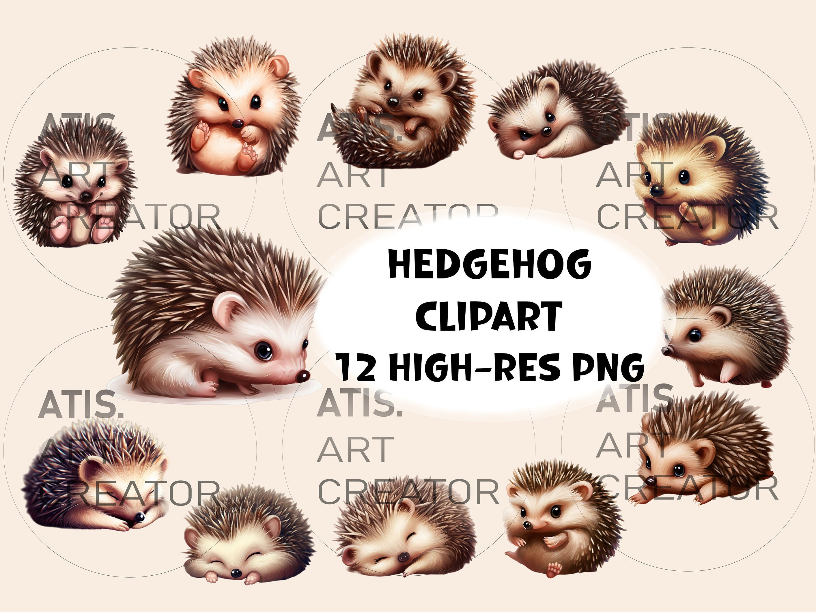 Hedgehog Clipart PNG, Watercolor Hedgehog Clipart, Cute Hedgehog ...