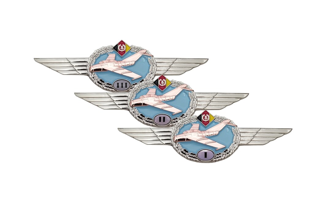 Helmsman Classification Badges set - Etsy