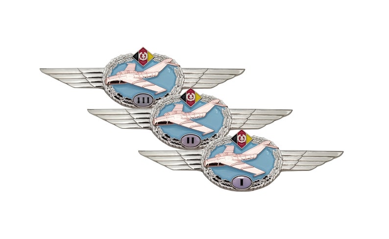 Helmsman Classification Badges set - Etsy