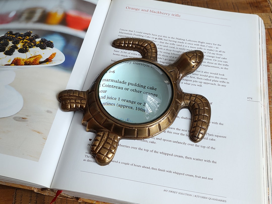 Turtle Magnifying Glass: Brass & Glass Handheld Lens - Etsy