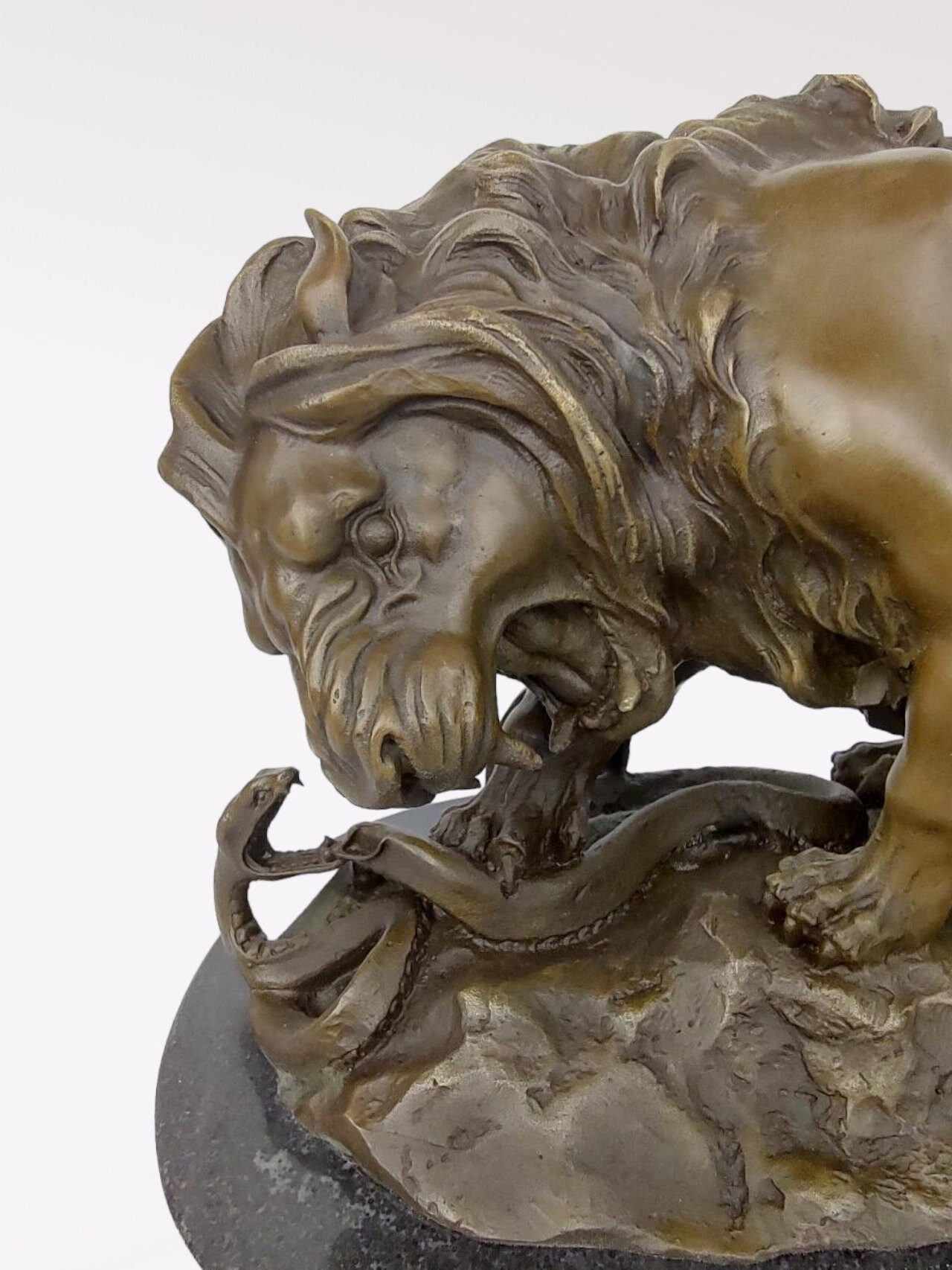 Lion Fighting Snake Lion and Serpent Lion Au Serpent Lion With a Snake ...