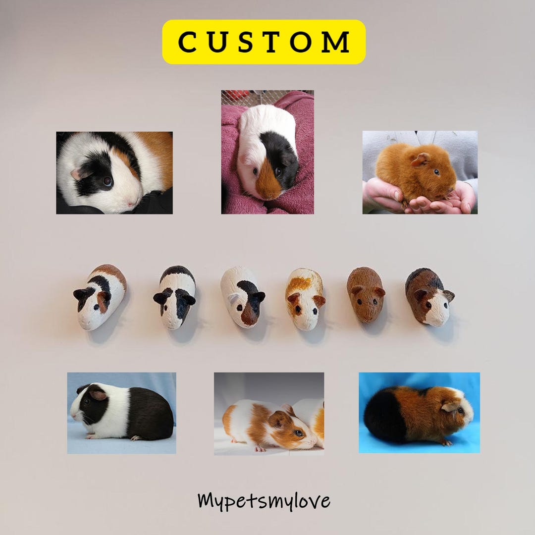 Miniature Guinea Pig Made of Clay From a Photo. Small Guinea Pig ...