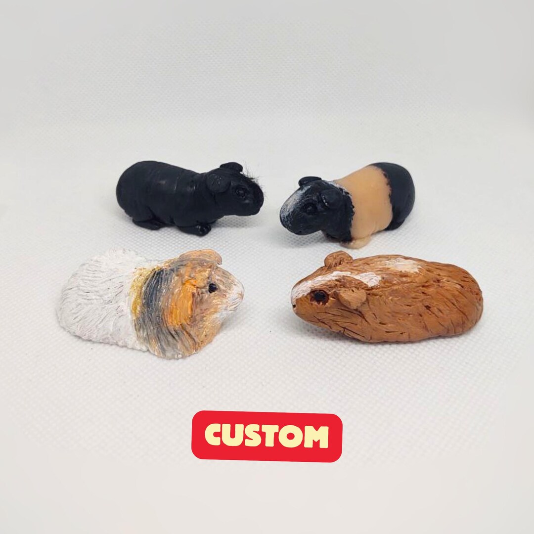 Guinea Pig Custom Skins, Teddy Guinea Pig Custom, Miniature Guinea Pig ...