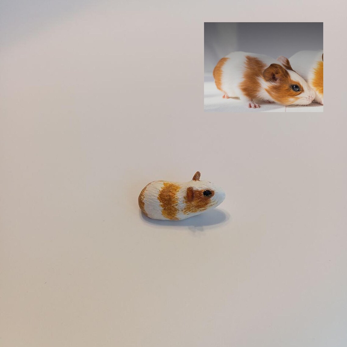 Miniature Guinea Pig, Miniature Hamster, Mini Guinea Pig Model, Gift ...