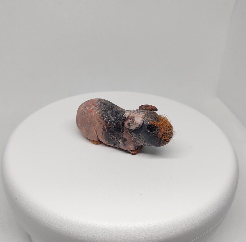 Custom Guinea Pig Clay Figurine: Personalized Pet Loss Memorial - Etsy