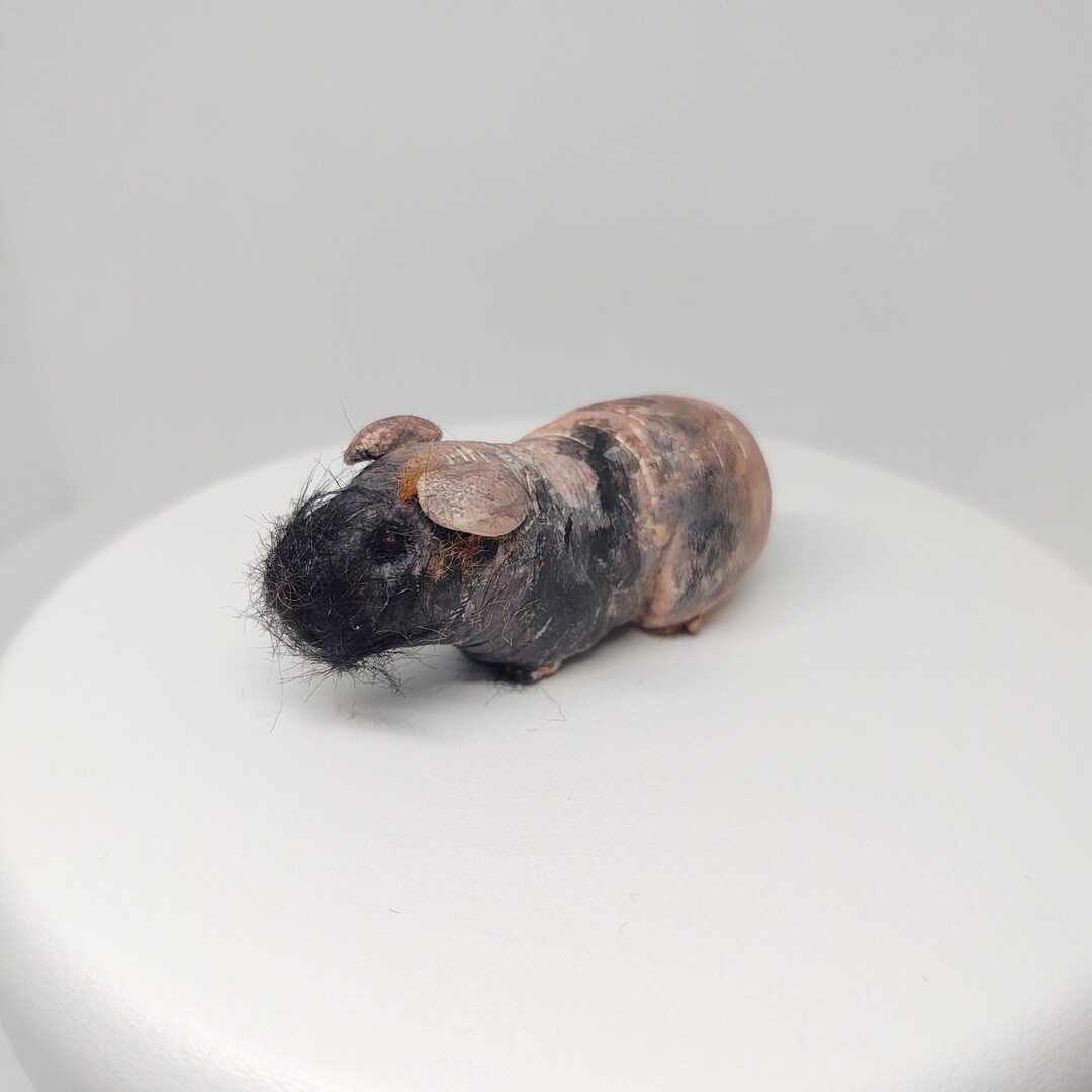 Custom Guinea Pig Clay Figurine, Personalized Pet Sculpture, Handmade ...