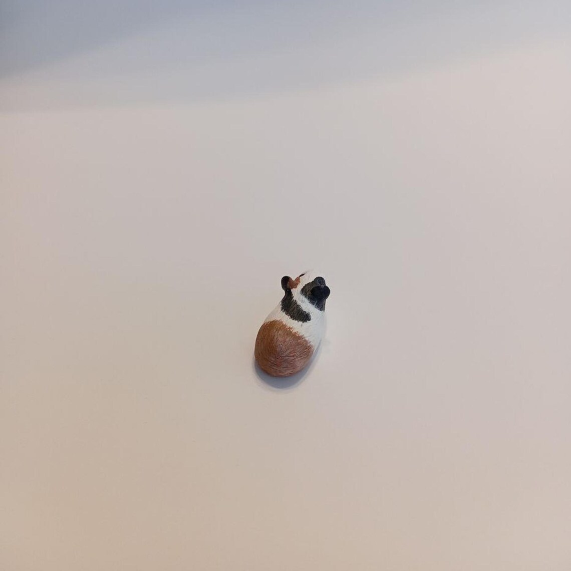 Miniature Guinea Pig, Miniature Hamster, Mini Guinea Pig Model, Gift ...