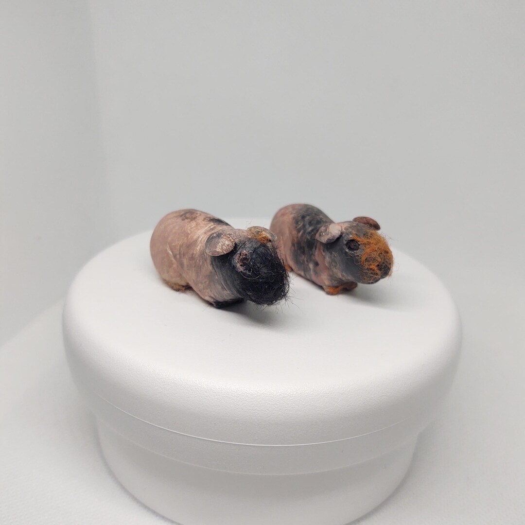 Sculpture Guinea Pigs, Hamsters, Chinchilla, Personalized Guinea Pig to ...