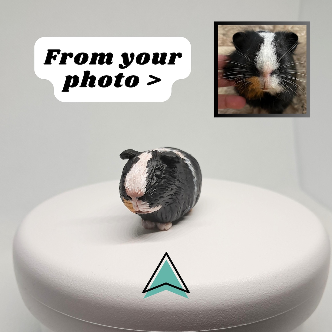 Miniature Guinea Pig, Skinny Pig Mini Sculpture, Guinea Pig Portrait ...