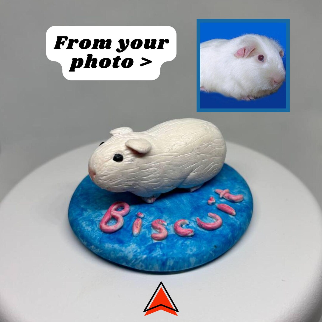 Custom Guinea Pig Statue Customized From Photo, Personalized Mini ...