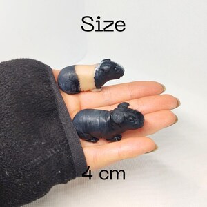 Guinea Pig Miniature, Personalized Mini Guinea Pigs, Custom Micro ...