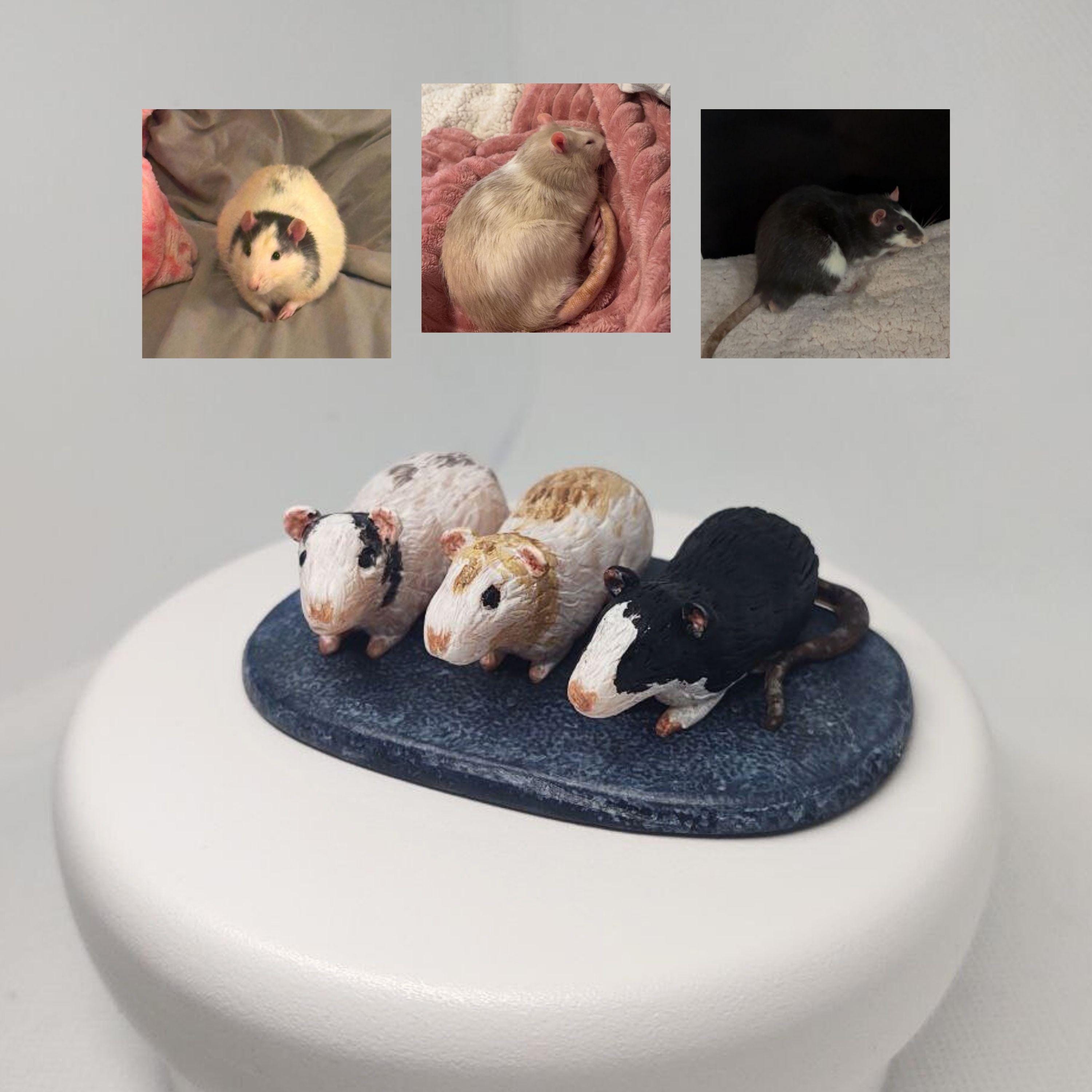 Custom Memorial Clay Rat Figurine: Personalized Pet Keepsake - Etsy