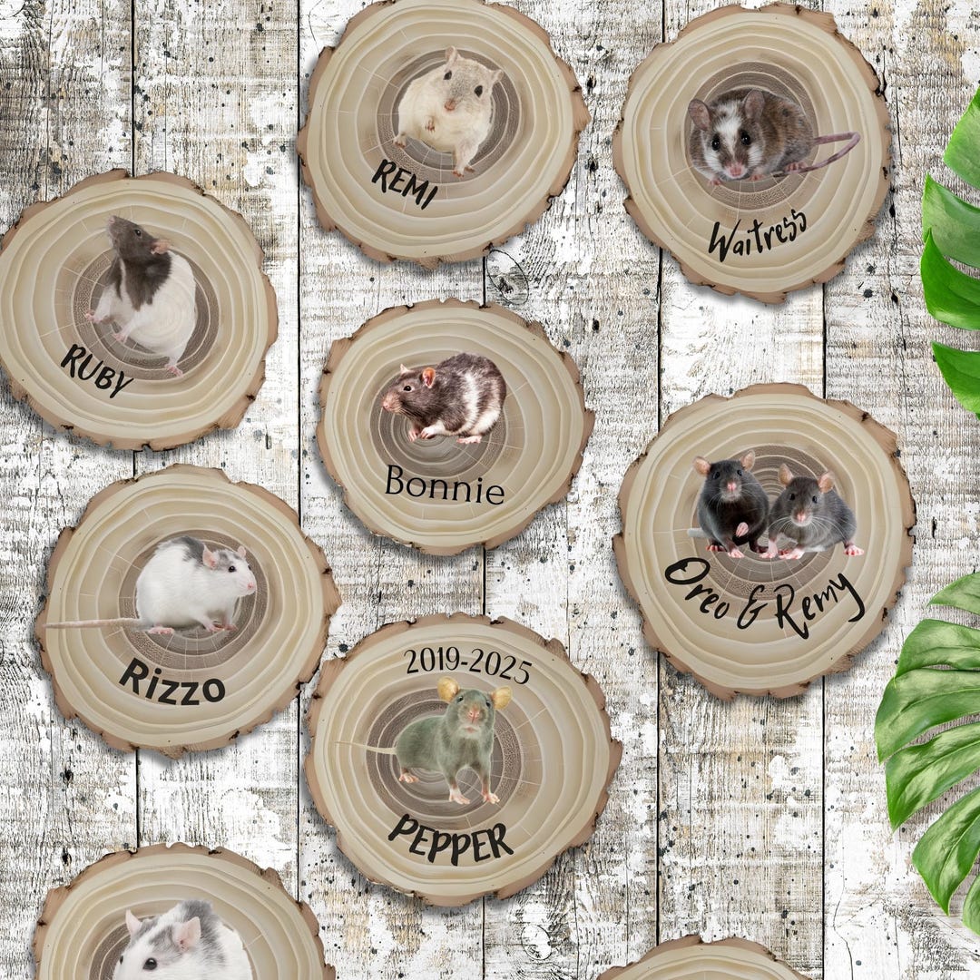 Lovely Rat Wood Slice Portrait, Custom Rat Decor, Gifts for Rat Lovers ...
