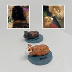Custom Guinea Pig Statue Customized From Photo, Guinea Pig Sculpture ...