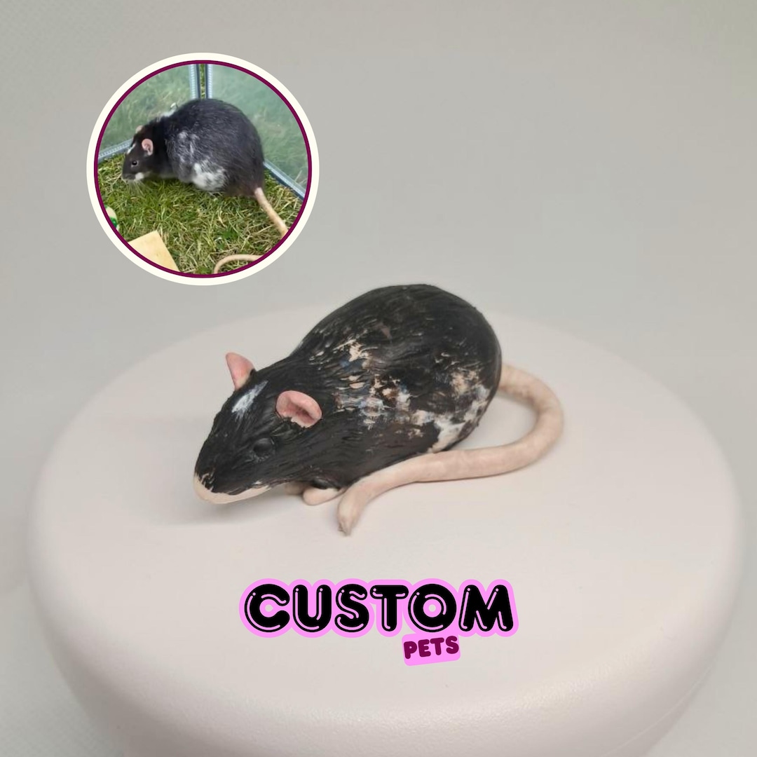 Custom Rat Memorial Figurine: Handmade Clay Pet Keepsake - Etsy