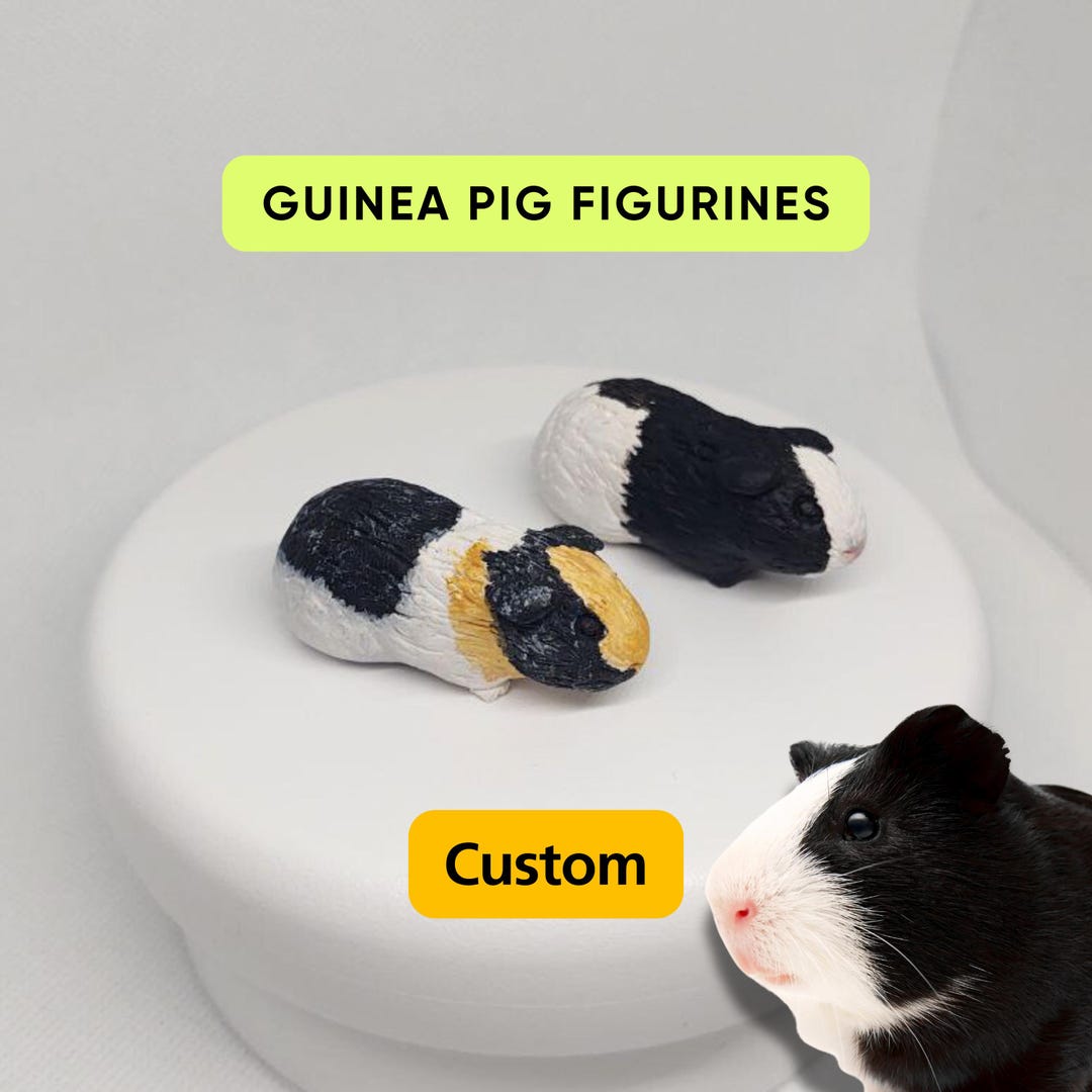 Guinea Pig Clay Sculpture, Guinea Pig Custom Made From Photo, Guinea ...