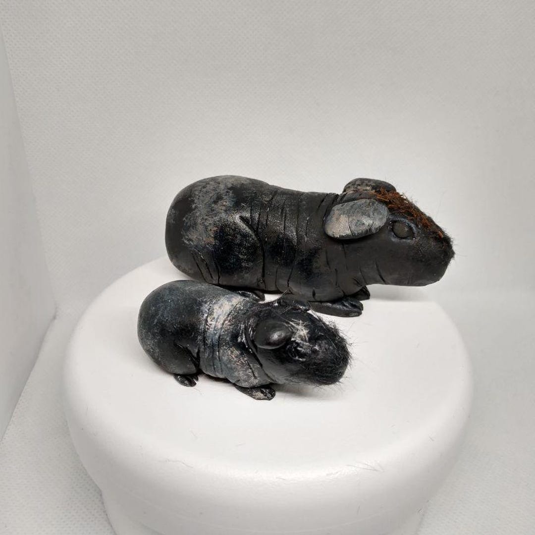 Personalized Guinea Pig Clay Figurine, Miniature Hamster & Guinea Pig ...