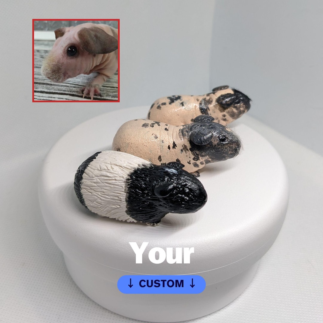 Custom Guinea Pig Portrait, Handmade Polymer Clay Pet Sculpture ...