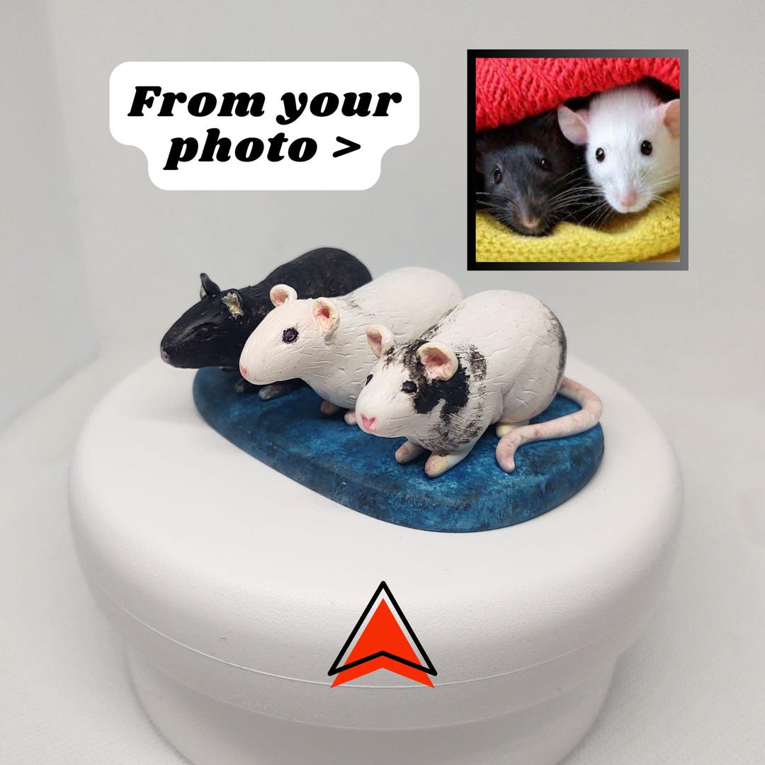 Custom Memorial Clay Rat Figurine: Personalized Pet Keepsake - Etsy
