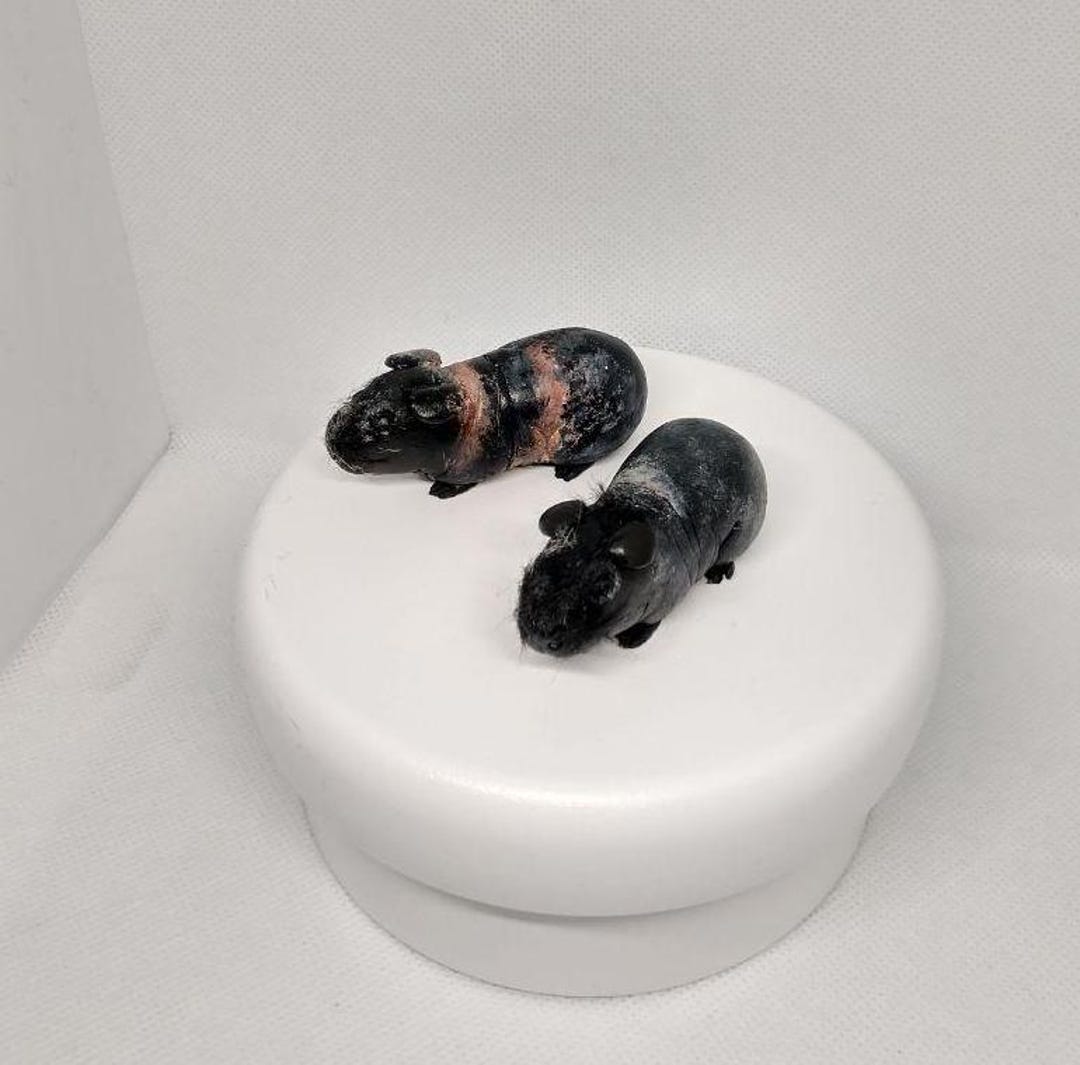 Custom Skinny Pig Clay Sculpture, Personalized Mini Guinea Pig Portrait ...