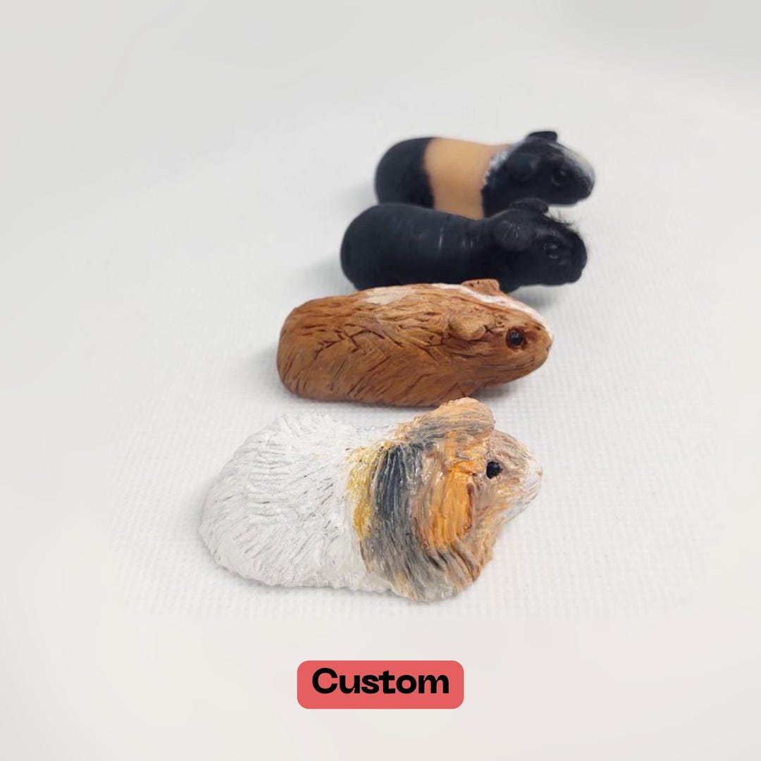 Guinea Pig Miniature, Personalized Mini Guinea Pigs, Custom Micro ...