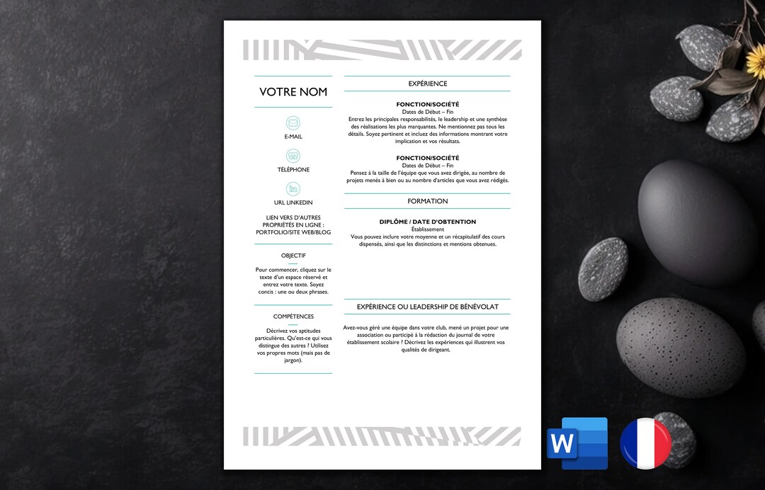 Modèle de CV et lettre de motivation sans photo pour Word (.docx ...