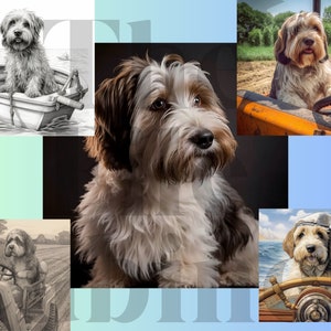 PBGV PNG, Dogs Png Sublime, Petit Basset Griffon Vendéen, Puppy Jpg ...