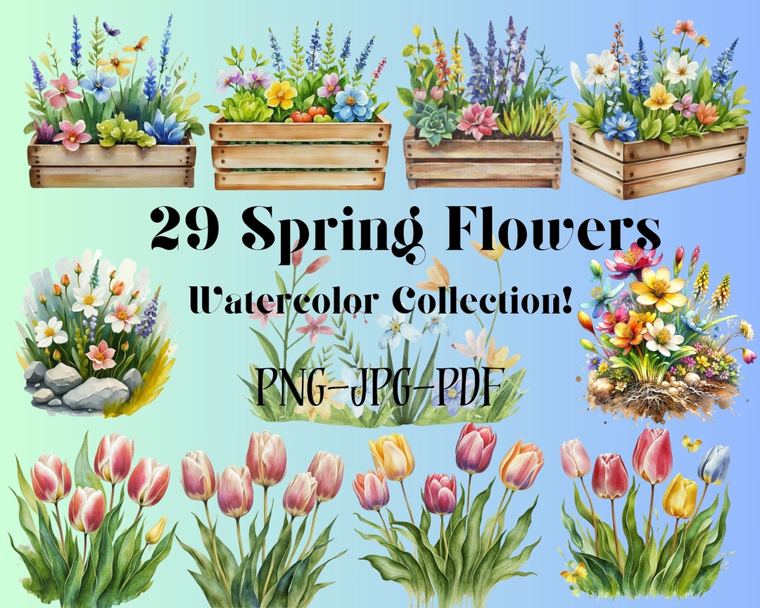 Colorful Spring Flower Clip Art, Bundle of 29 Watercolor Artful Print ...