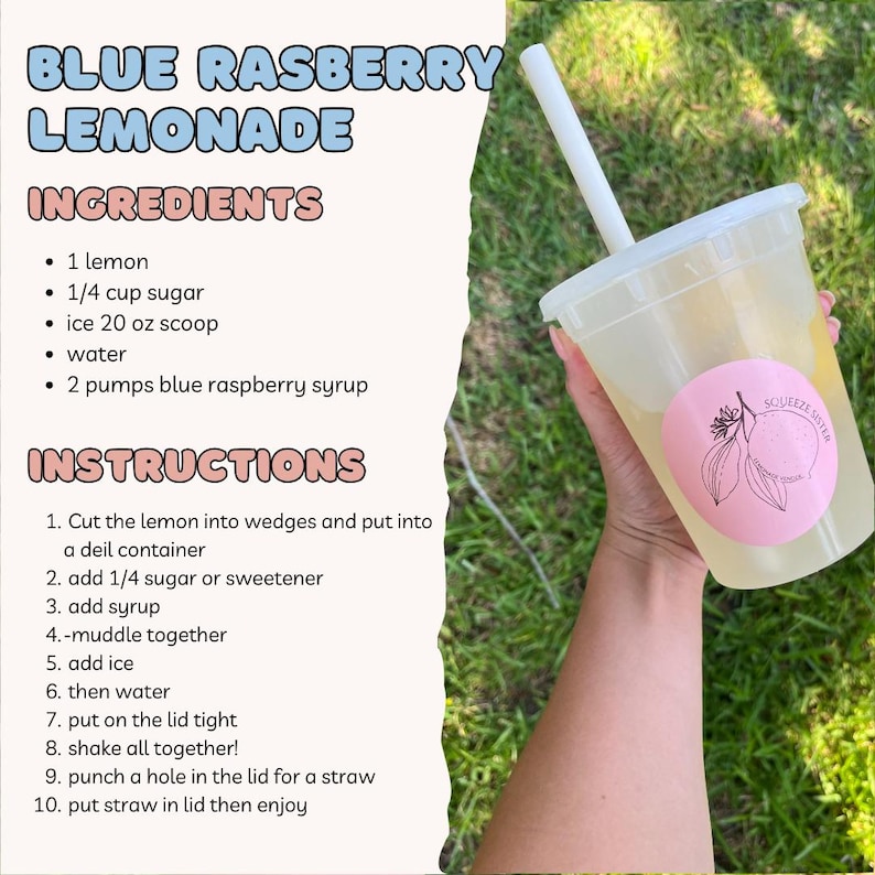 30 Lemonade Recipes - Etsy