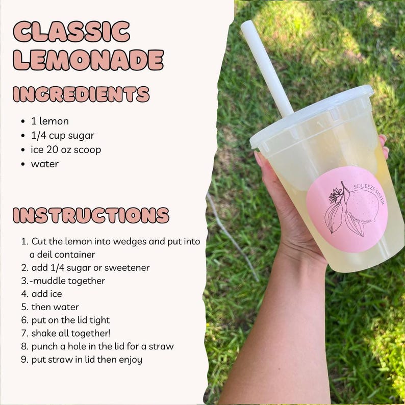 30 Lemonade Recipes - Etsy