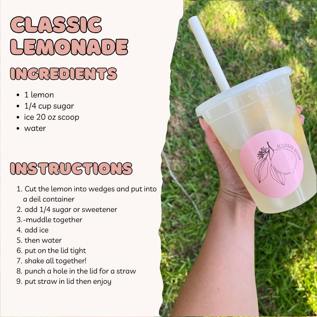 30 Lemonade Recipes - Etsy