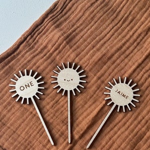 Custom Half Way Around the Sun Cake Topper | Custom First Year Around ...