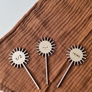 Custom Half Way Around the Sun Cake Topper | Custom First Year Around ...