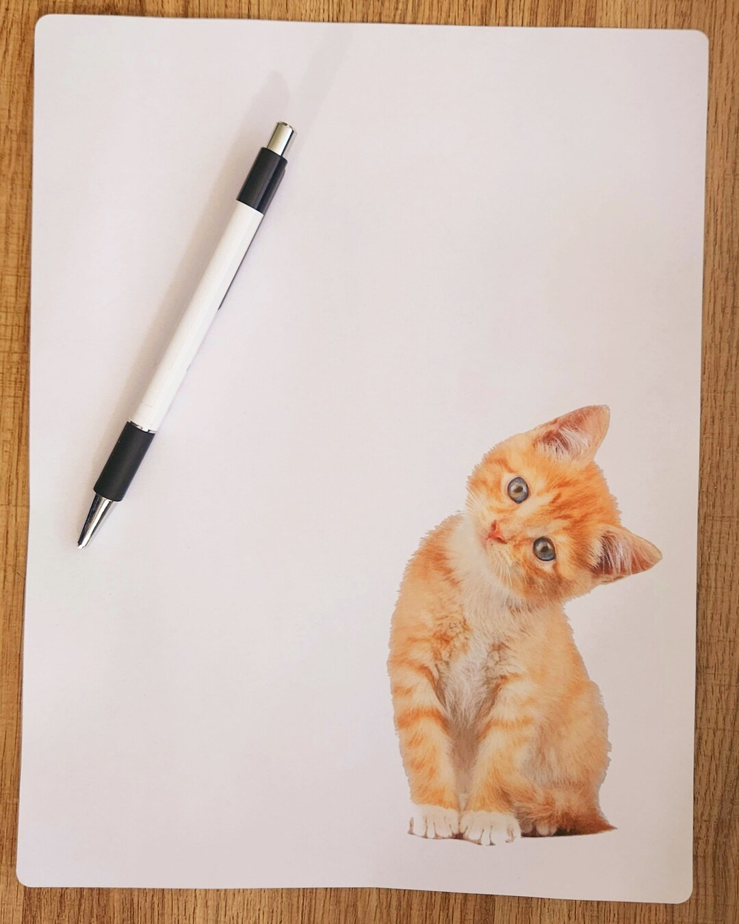 Sweet Kitty Notepad Letter Size - Etsy