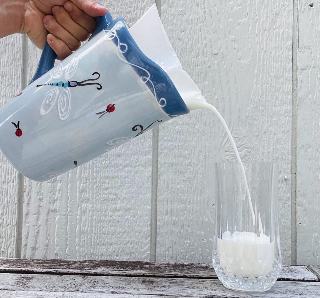 Milk Jugs, Hand Painted Ceramic Milk Pitcher for Milk Bags, Dragonfly ...