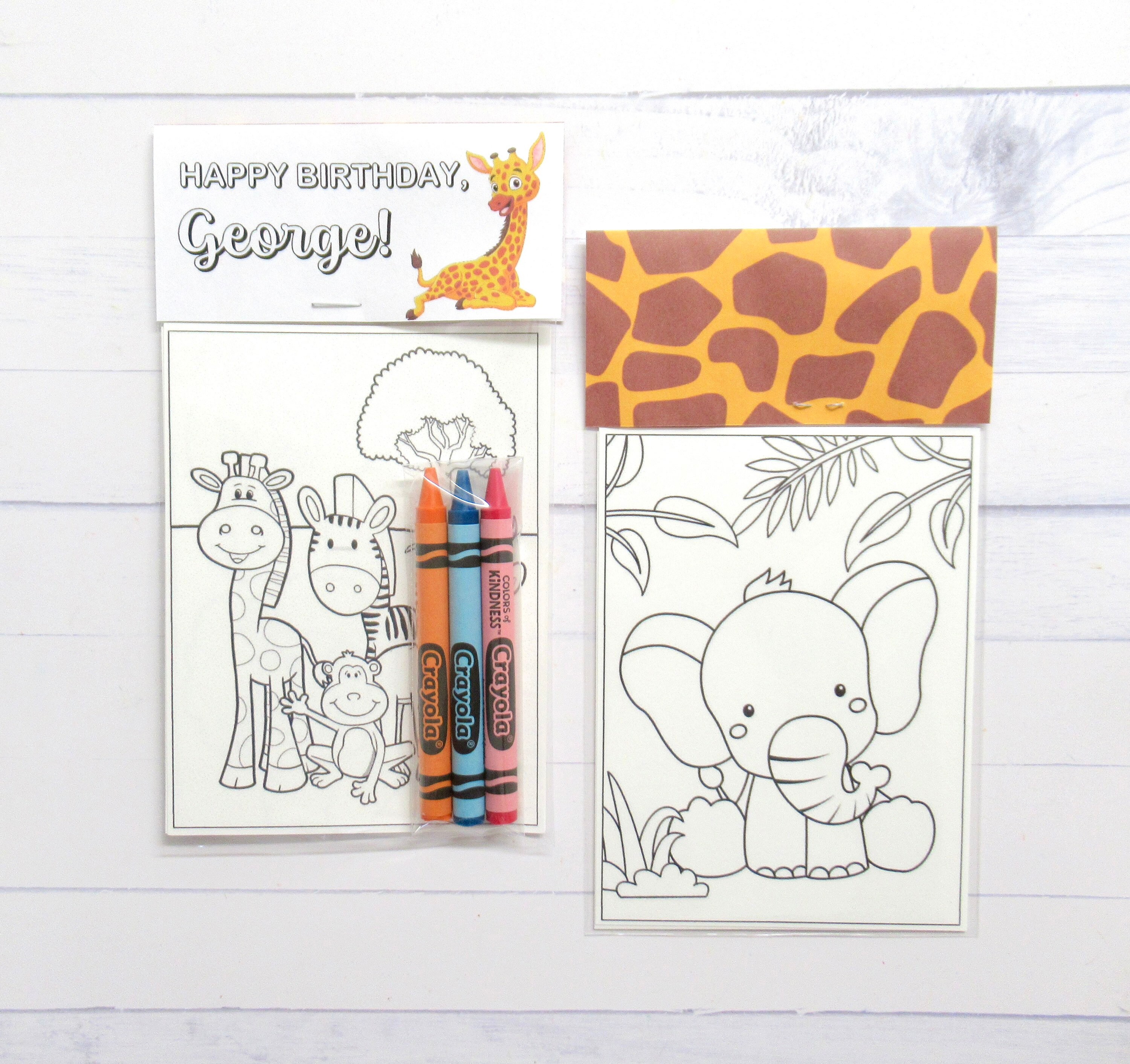 Zoo Animal Coloring Pages and Crayons 1 Bag 1 Child Zoo - Etsy