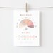 Tempos and Dynamics Music Poster: Music Theory Classroom Art (digital ...