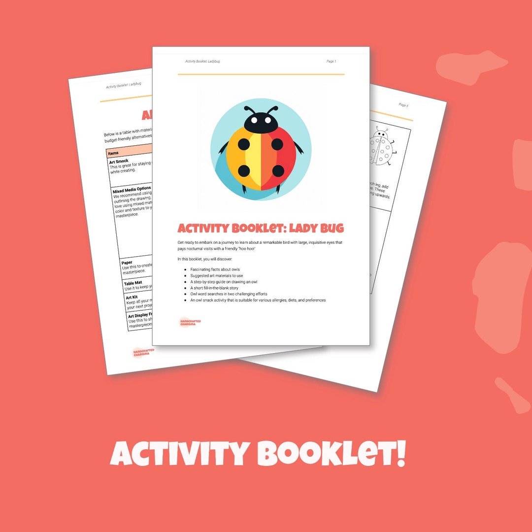 Ladybug Adventure Interactive Booklet: Educational Crafts and Puzzles ...