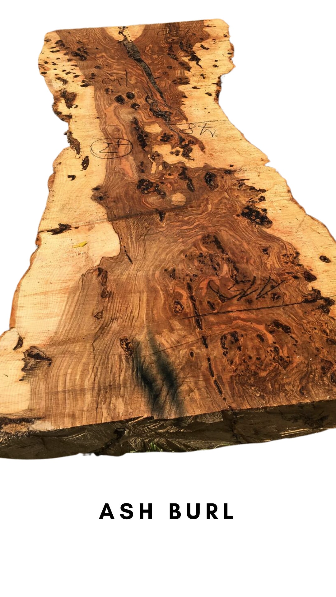Ash Burl Slab - Etsy