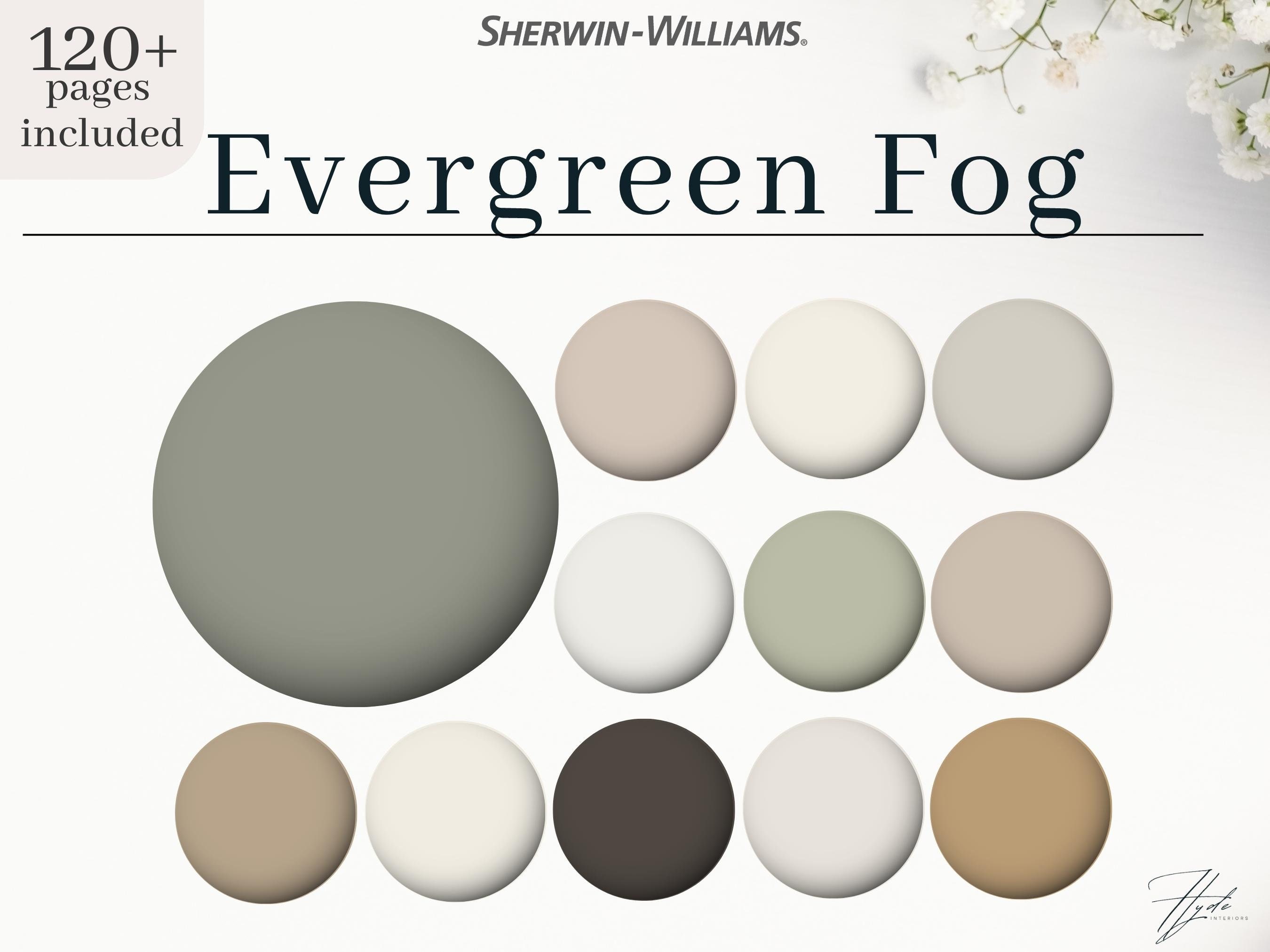 Sherwin-williams Color Paint Palette 12 Sherwin Williams - Etsy