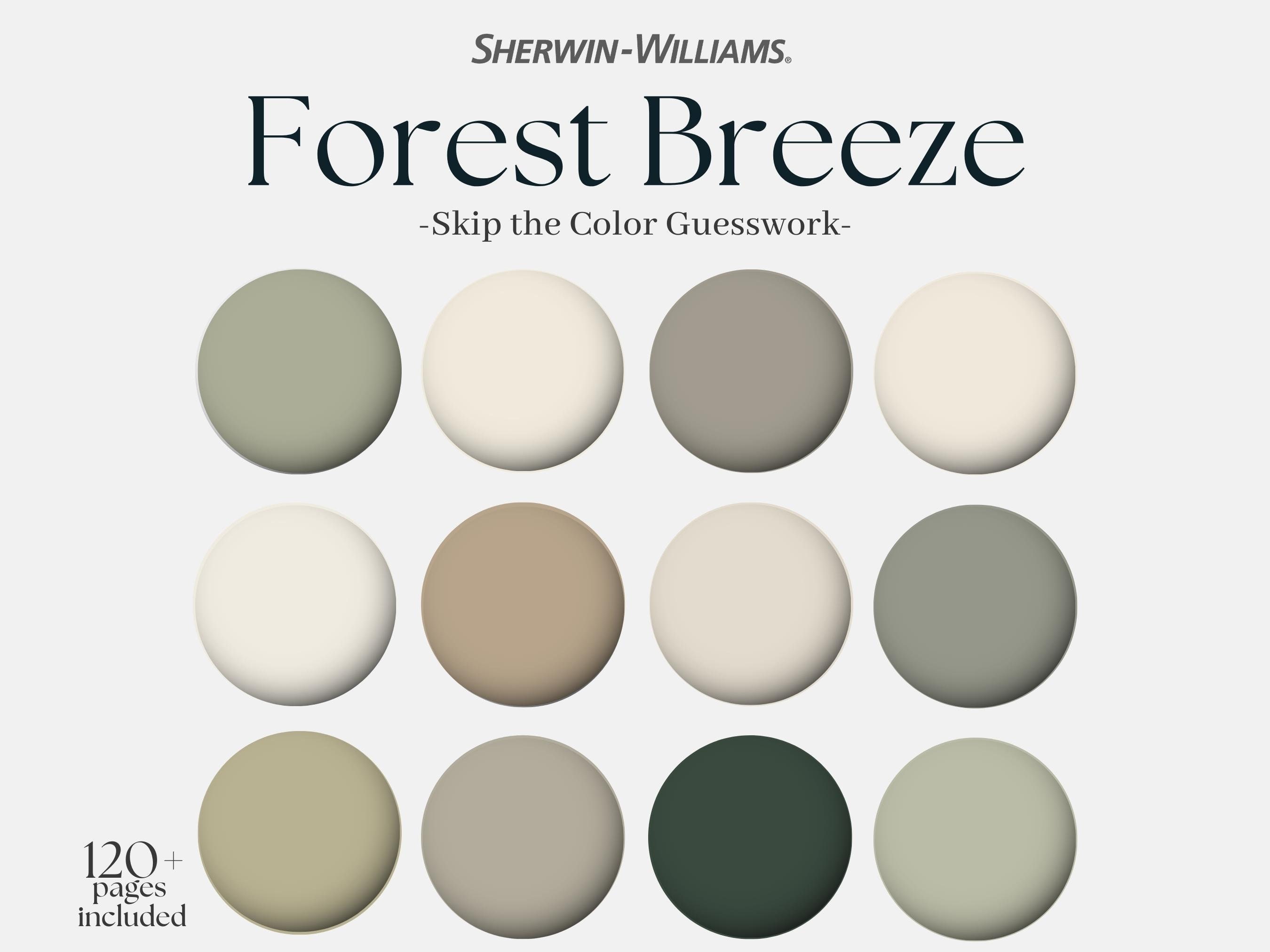 Sherwin Williams Color Palette: Forest Breeze 12 Sherwin - Etsy
