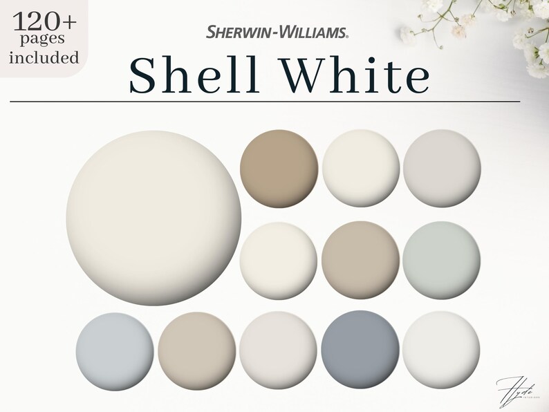 Sherwin-williams Coastal Color Palette: Shell White 12 - Etsy