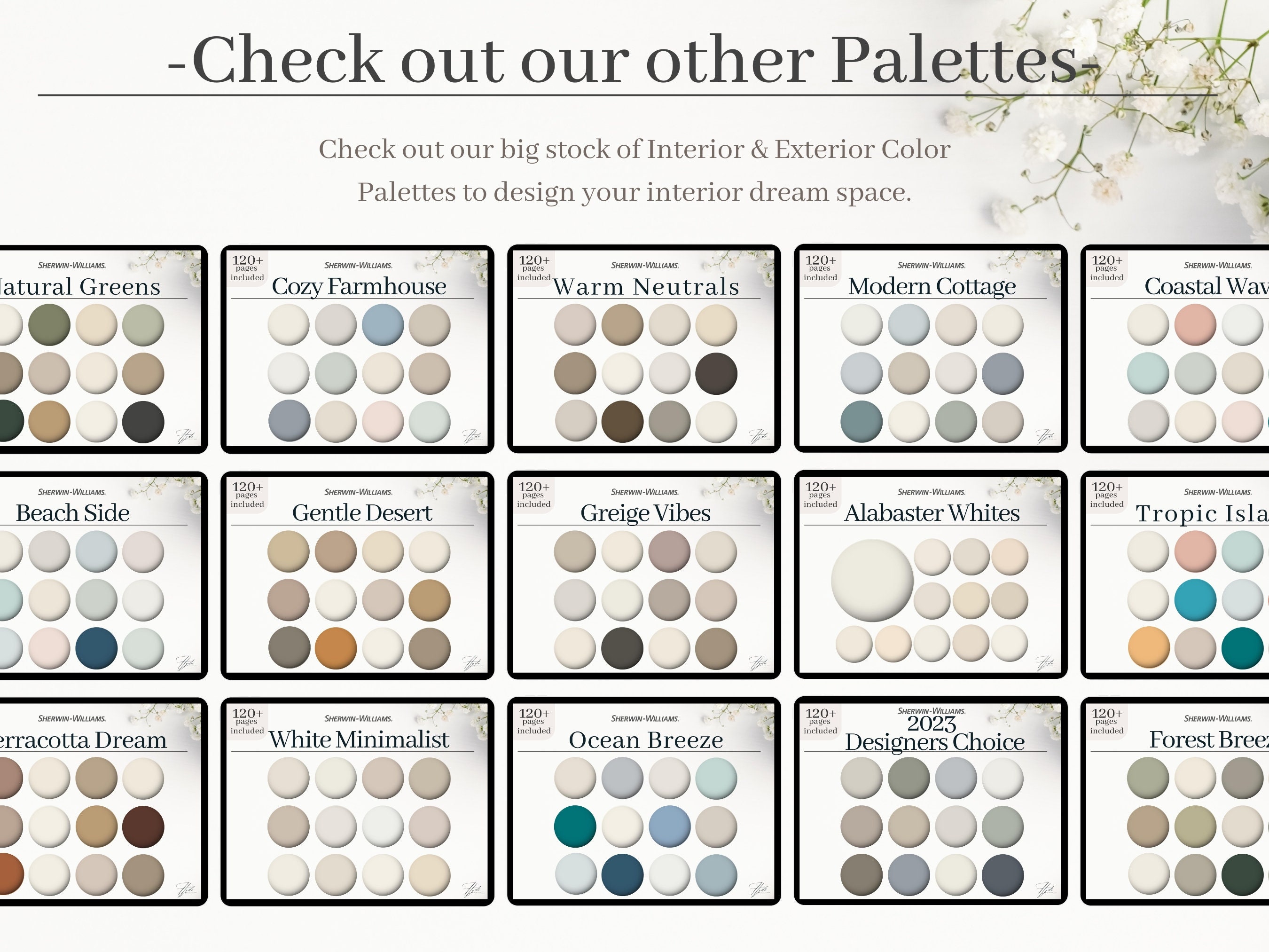 Sherwin Williams Color Palette: Gentle Desert, 12 Sherwin Williams ...