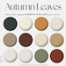 Sherwin-williams Color Palette: Autumn Leaves, 12 Colorful Sherwin ...