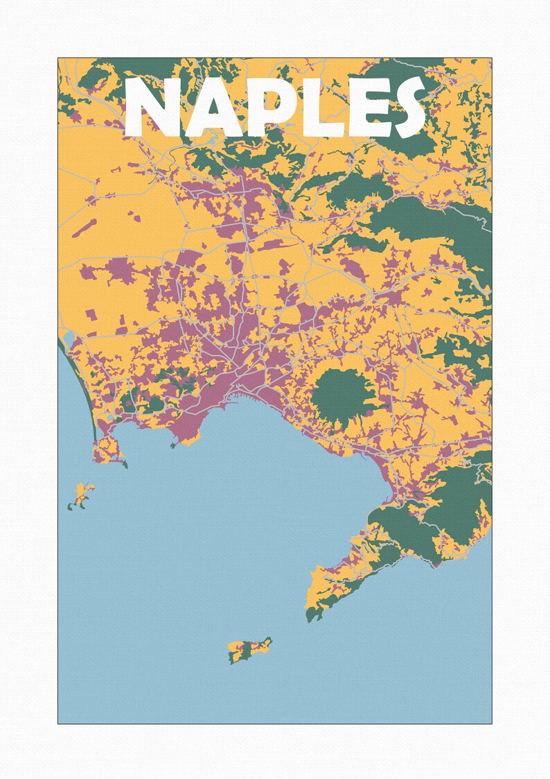 Naples Land Classification Map, Detailed Land Classification Wall Art ...