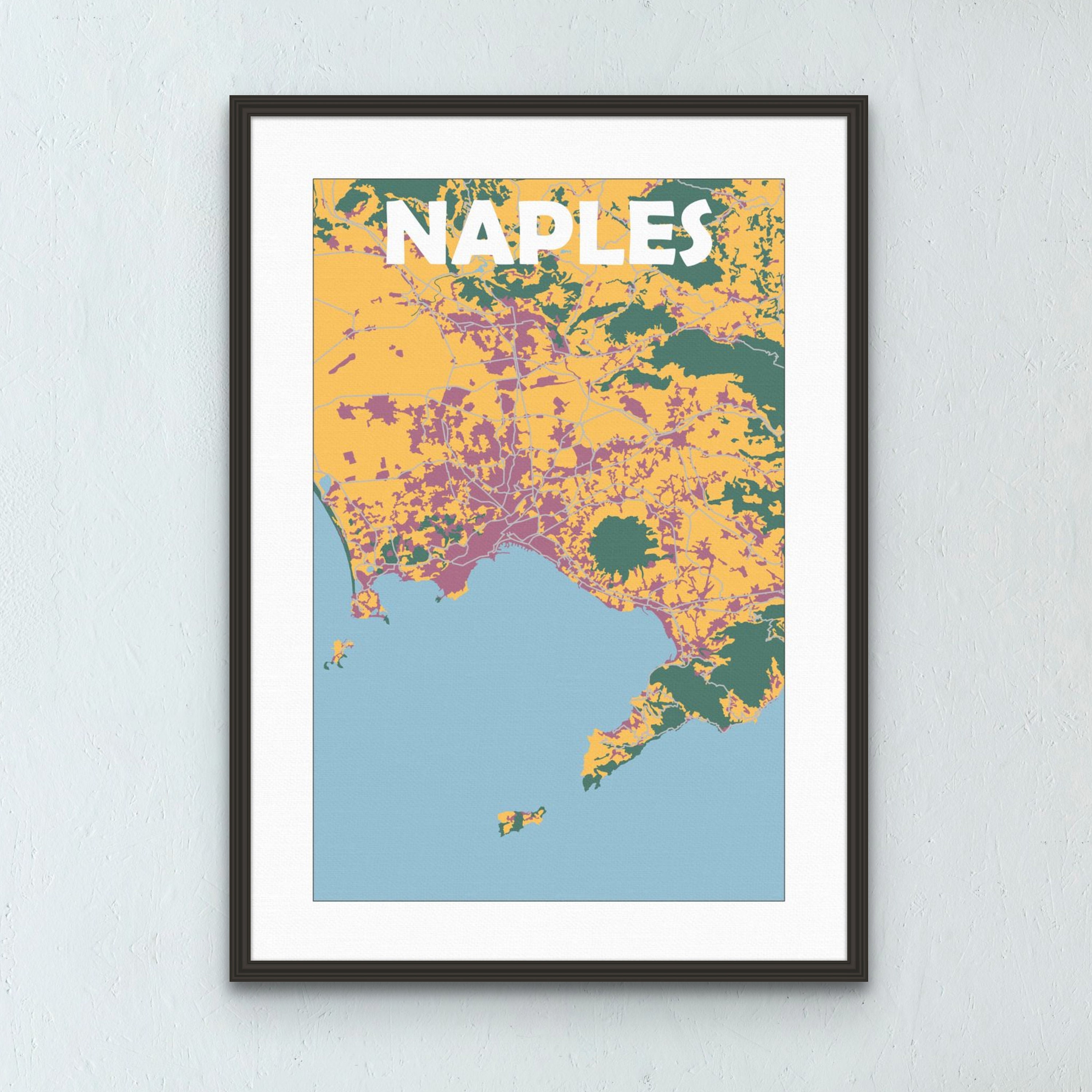Naples Land Classification Map, Detailed Land Classification Wall Art ...
