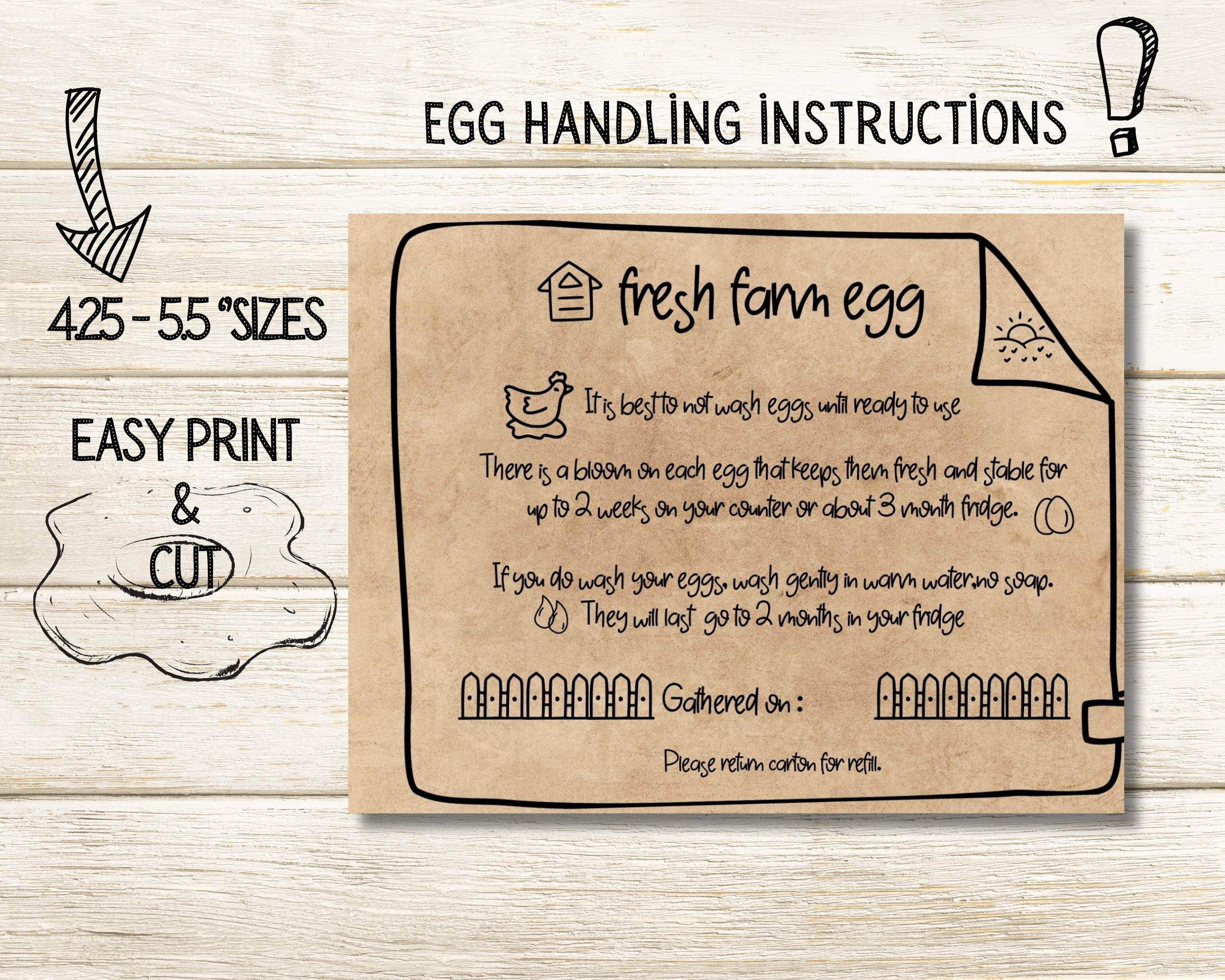 EGG HANDLING Instruction Card Template, Fresh Egg Care Label, Egg ...