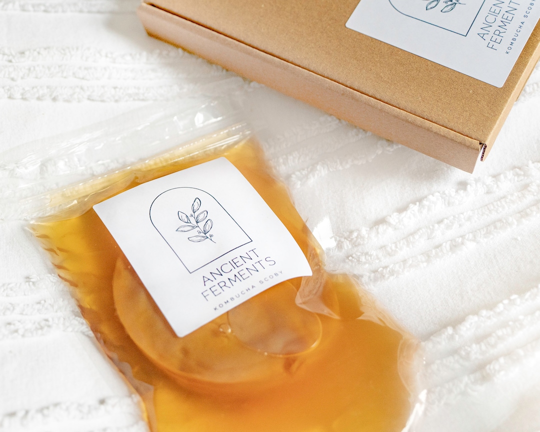 Kombucha Making Scoby | Kombucha Brewing Kit | Jun Tea Making Kit ...